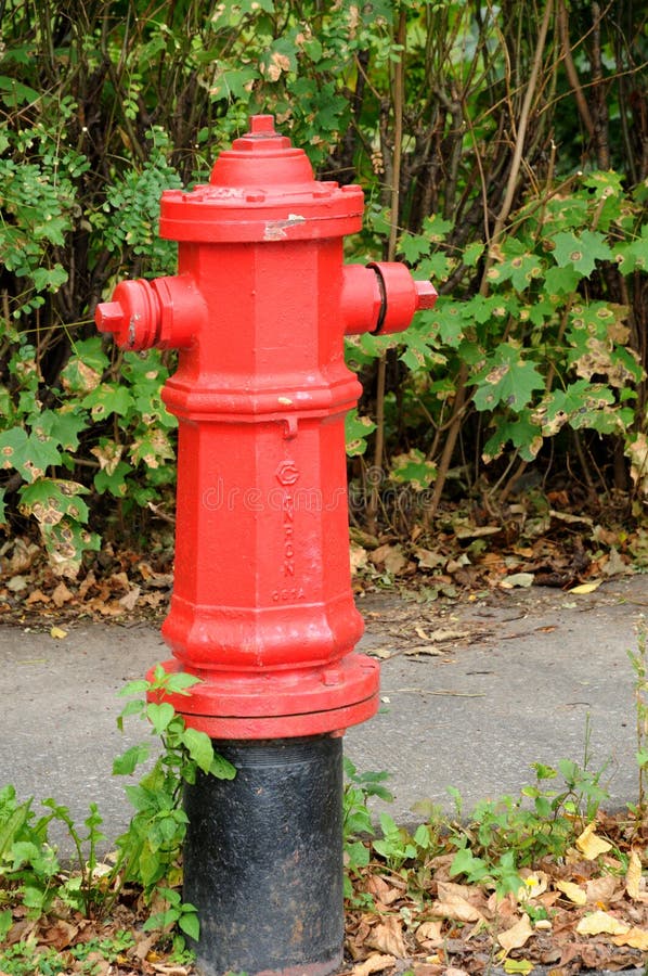 Quebec, a Fire Hydrant in Levis Stock Photo - Image of pump, levis ...