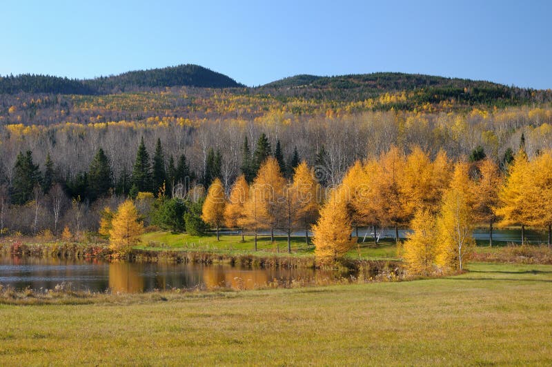 Quebec landscape stock photo. Image of hill, quebec, nature - 24234148