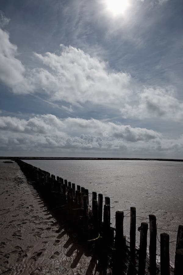 Quebra-mar De Madeira No Mar De Wadden Imagem de Stock - Imagem de cena ...