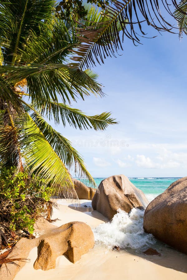 Quebra-mar Na Praia Tropical Imagem de Stock - Imagem de lugar, areia ...