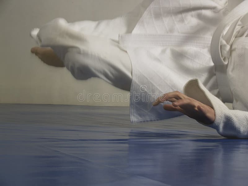 Queda do judo imagem de stock. Imagem de movimento, retrocesso - 2385801