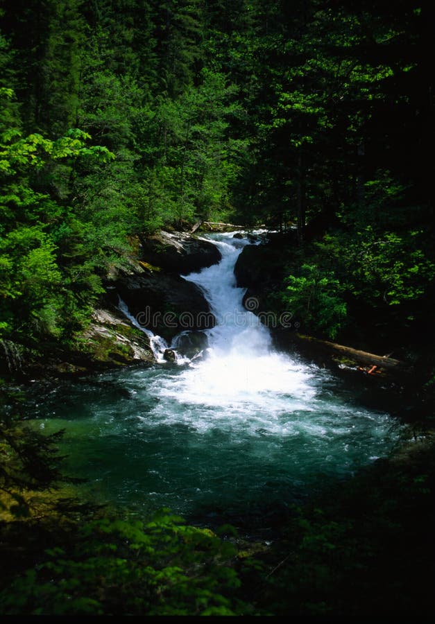 Cascatas Do Rio Lewis, Washington Imagem de Stock - Imagem de penhasco ...