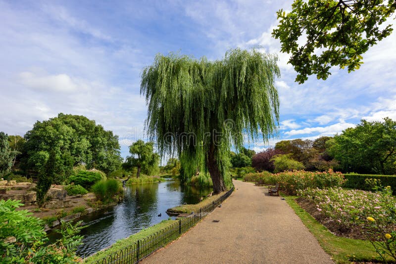Queen Mary S Rose Gardens in Regent S Park, London, UK. Editorial Stock ... Queen Mary S Rose Gardens in Regent S Park, London, UK. Editorial Stock ...