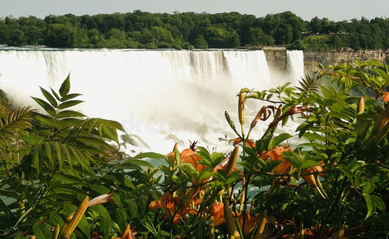 Queen Victoria Park Canada stock image. Image of tree - 271143767