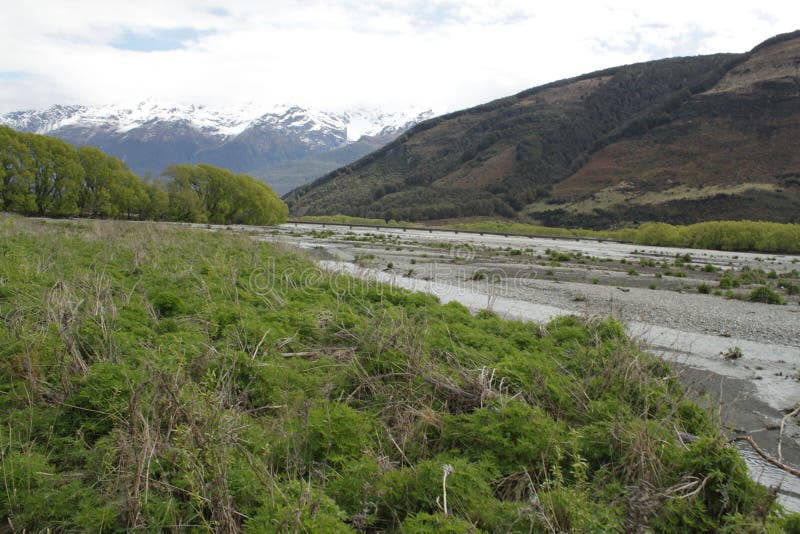 Queenstown Forest View -while Horse Back Riding Stock Photo - Image of ...