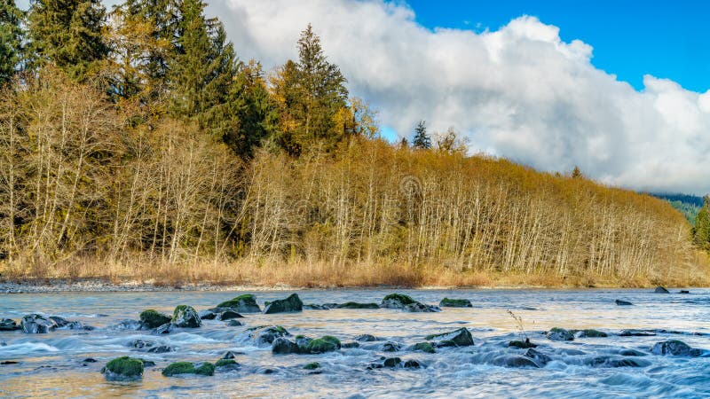 Queets River Late Afternoon Stock Image - Image of reservoir, forest ...