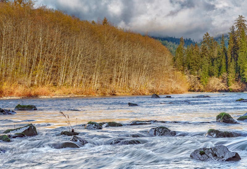 Queets River Late Afternoon Stock Image - Image of tree, lake: 132040851