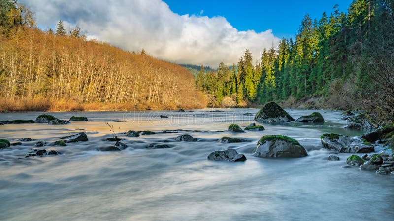 Queets River Late Afternoon Stock Image - Image of outdoors, beautiful ...