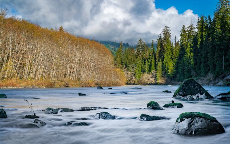 Queets River Late Afternoon Stock Photo - Image of mountain, view ...