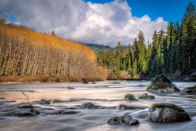 Queets River Late Afternoon Stock Image - Image of clouds, water: 132040889