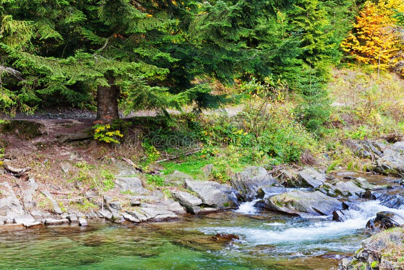 Quelle, Wasser und Bach stockfoto. Bild von freizeit - 117310070