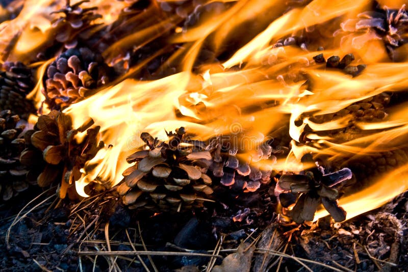 Quema en la madera foto de archivo. Imagen de base, encienda - 3361818