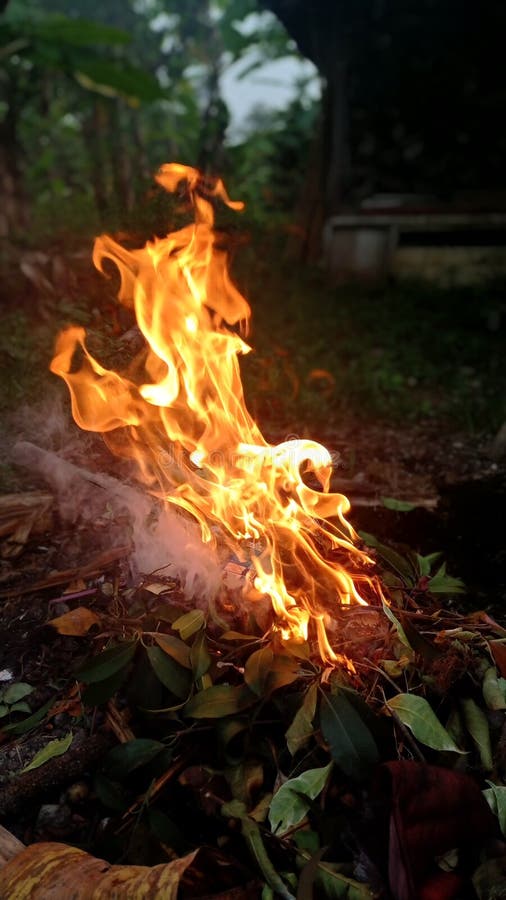 Quemando basura en casa imagen de archivo. Imagen de casero - 268016473