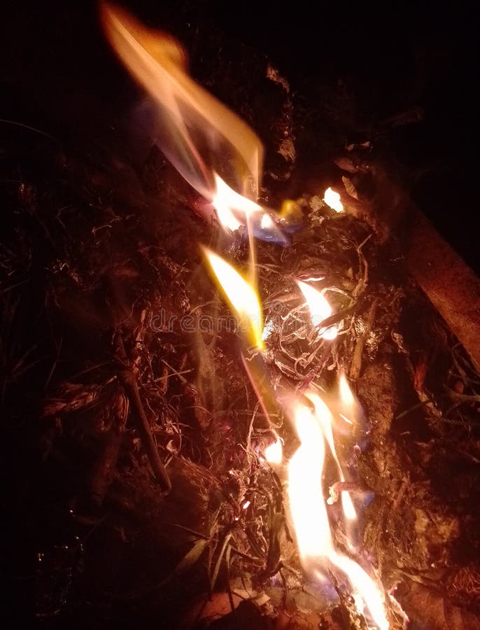 3,778 Basura Quemandose Fotos de stock - Fotos libres de regalías de ...