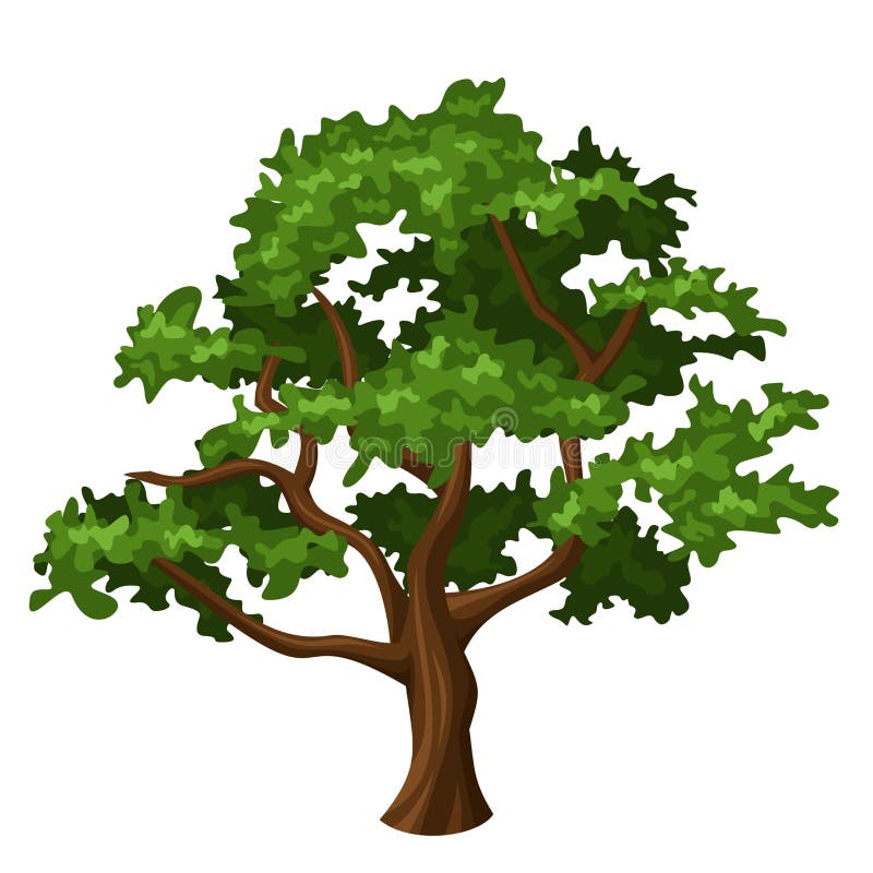Albero Di Quercia Illustrazioni, Vettoriali E Clipart Stock – (92,698 ...