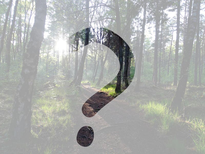 Question Tree Logo Stock Illustrations – 158 Question Tree Logo Stock ...