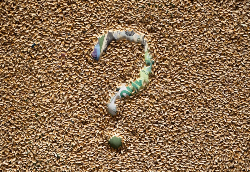 The Question Mark on a Grain Background Stock Photo - Image of natural ...