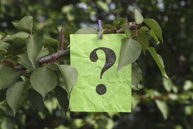 Question Mark Hanging on a Tree Stock Photo - Image of twig, note: 76044700