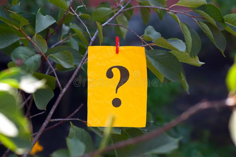 Question Mark Hanging Tree Stock Photos - Free & Royalty-Free Stock ...