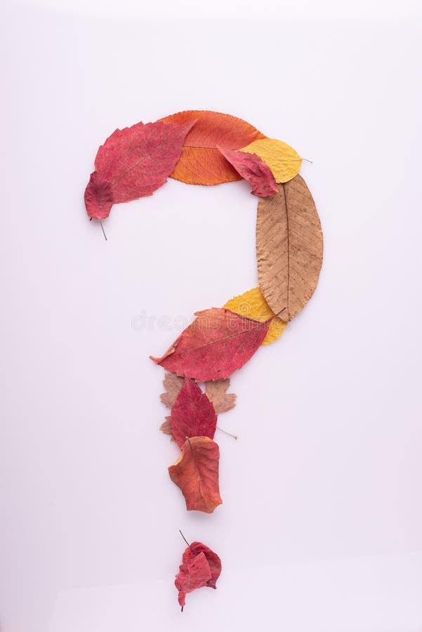 Question Mark Made from Autumn Leaves on White Background Stock Image ...
