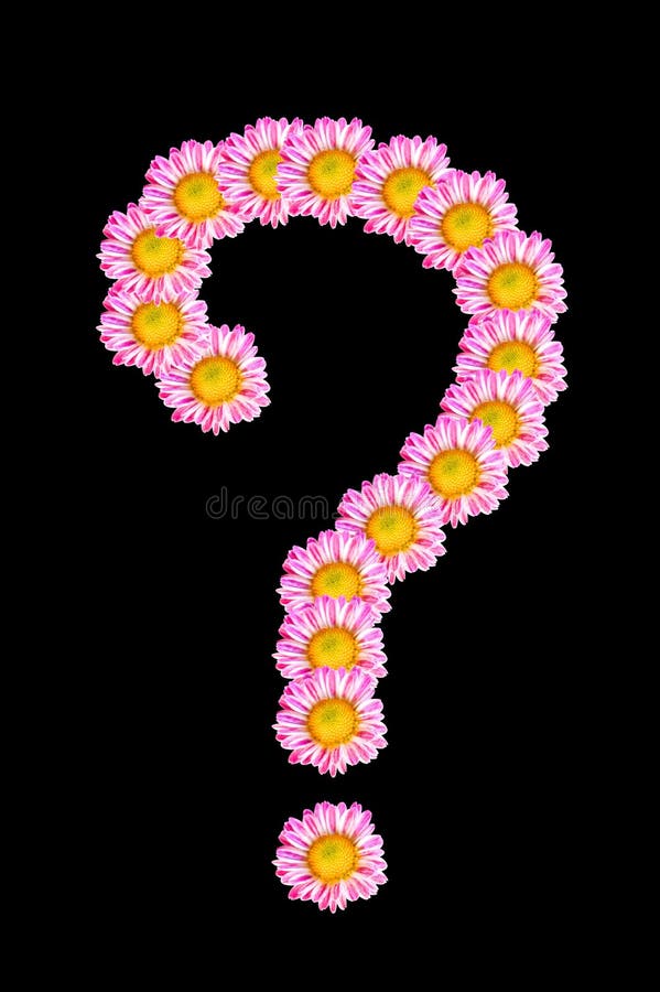 370 Question Mark Flower Stock Photos - Free & Royalty-Free Stock ...