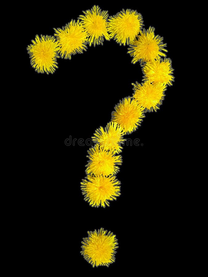 Question Mark Flowers Stock Illustrations – 61 Question Mark Flowers ...