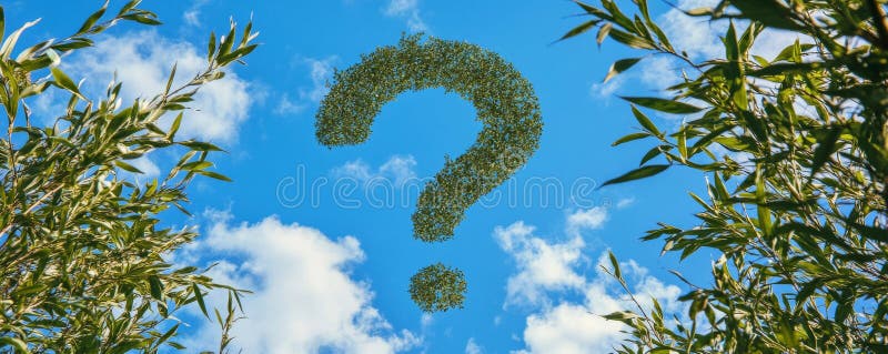 227 Question Mark Leaves Stock Photos - Free & Royalty-Free Stock ...