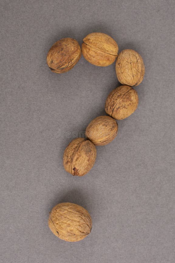 A Question Mark Made of Walnuts. the Concept of Frequently Asked ...
