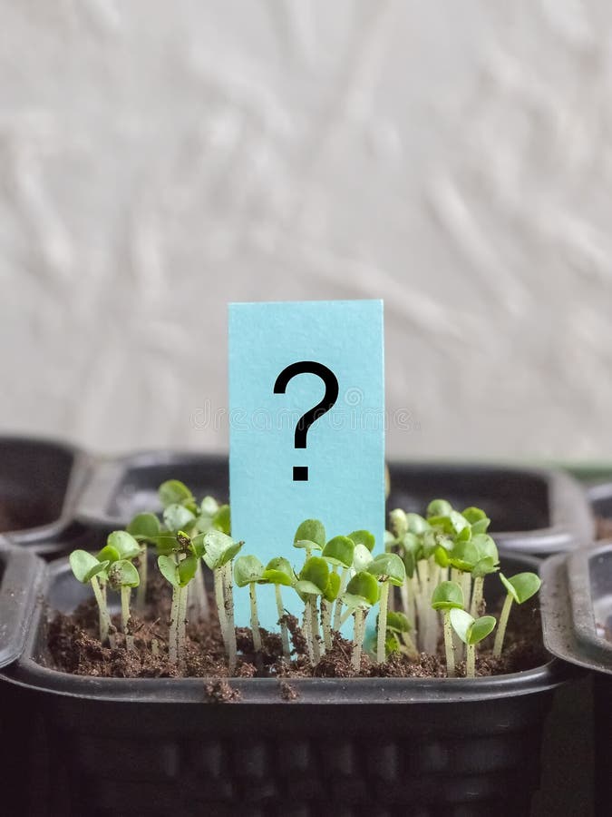 393 Question Mark Plant Stock Photos - Free & Royalty-Free Stock Photos ...