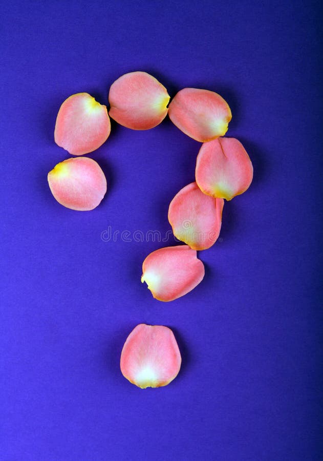 Question Mark Petals Stock Photos - Free & Royalty-Free Stock Photos ...