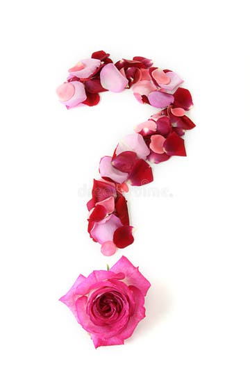 Question mark, rose petals stock photo. Image of logo - 9506238