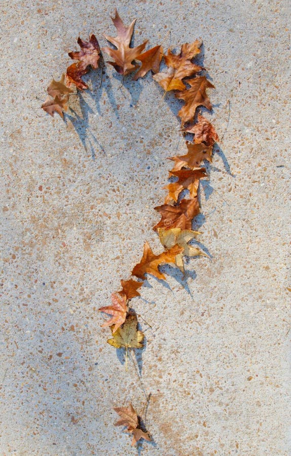 168 Question Mark Leaves Stock Photos - Free & Royalty-Free Stock ...