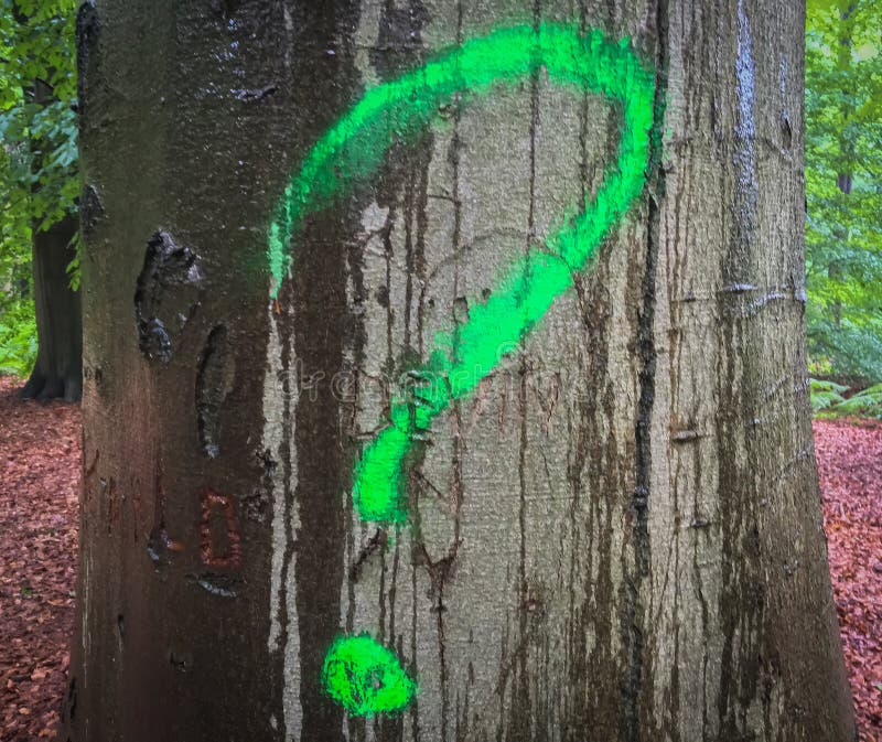 Question Mark on a Tree Trunk in the Forest Close Up Stock Image ...