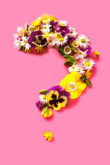 214 Question Mark Flowers Stock Photos - Free & Royalty-Free Stock ...