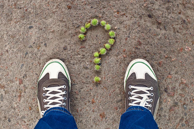 Question Sign Composed from Small Green Chestnuts Stock Image - Image ...
