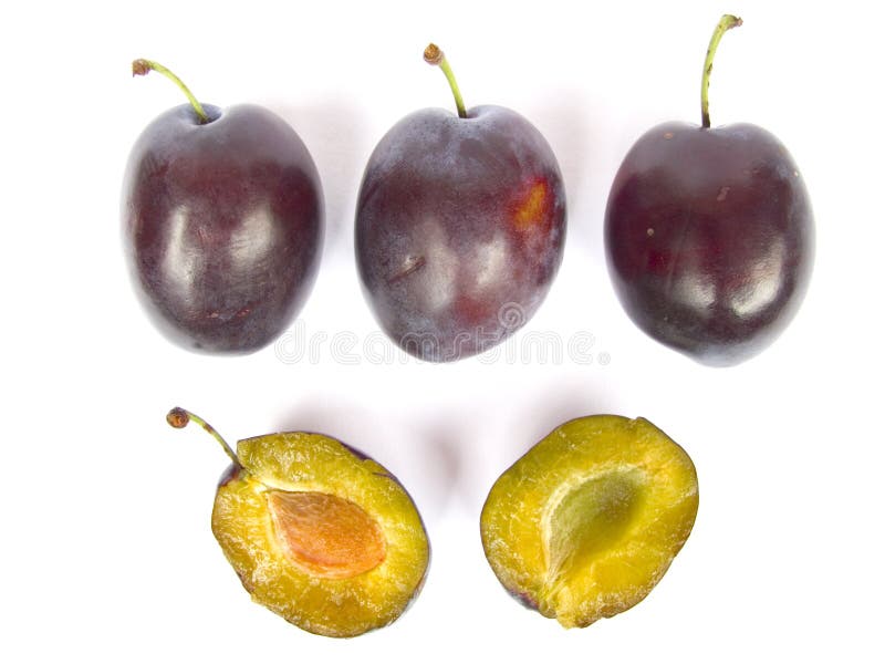 Quetsches image stock. Image du plomb, régime, produit - 15991885