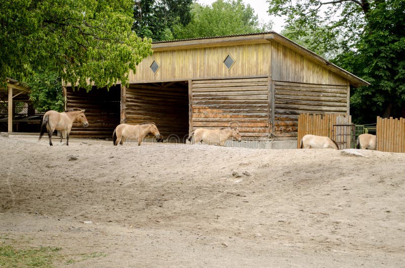 Concession Stand Illustration Stock Photos - Free & Royalty-Free Stock ...