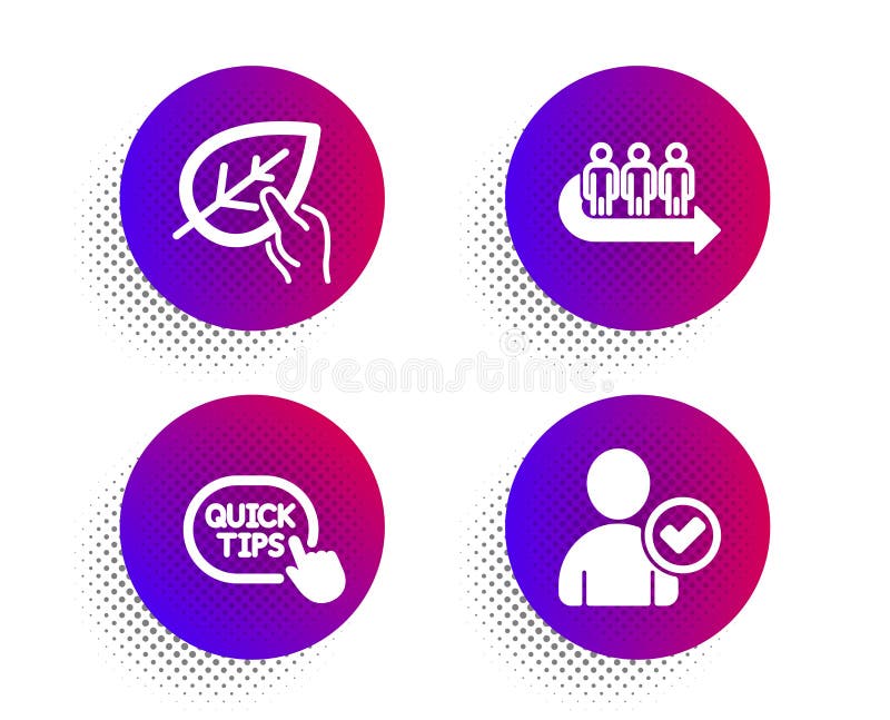 Queue, Quick Tips and Organic Tested Icons Set. Identity Confirmed Sign ...