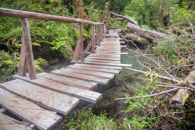 Queulat National Park, Chile. Stock Image - Image of forest, view ...