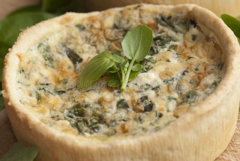 Quiche stock photo. Image of herbs, gourmet, dining, spinach - 16993518