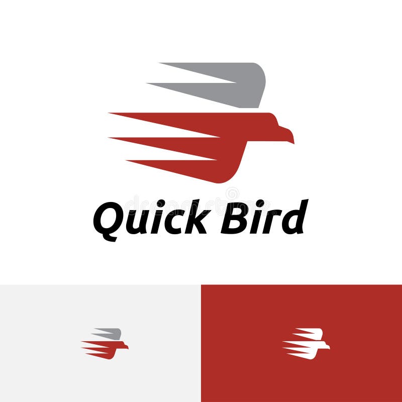 Quick Bird Fast Rapid Eagle Flying Wings Logo Stock Illustration ...