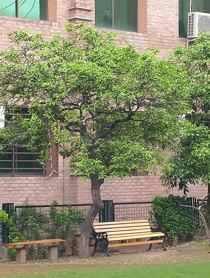 Quick Respite from the Hectic Routine Stock Image - Image of lights ...