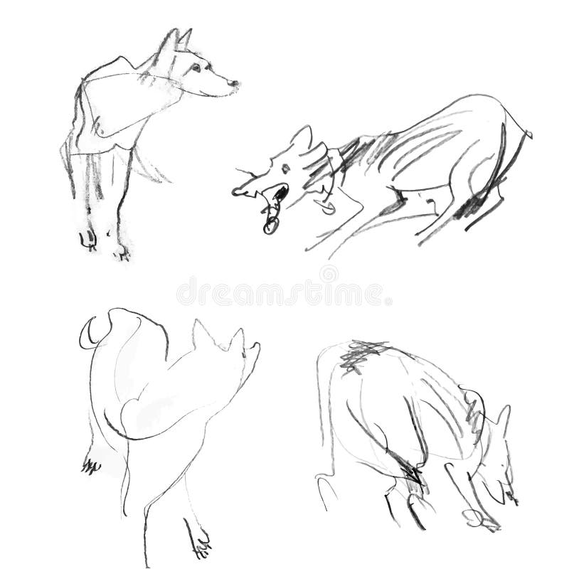 Vector Trace Educational Game for Preschool Kids. Stock Vector ...