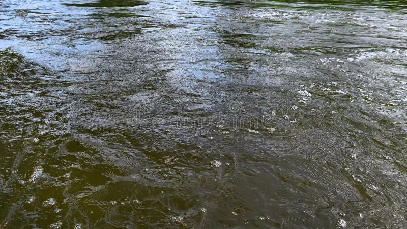 Quick Water Flow with Whirlpools Stock Photo - Image of visible ...