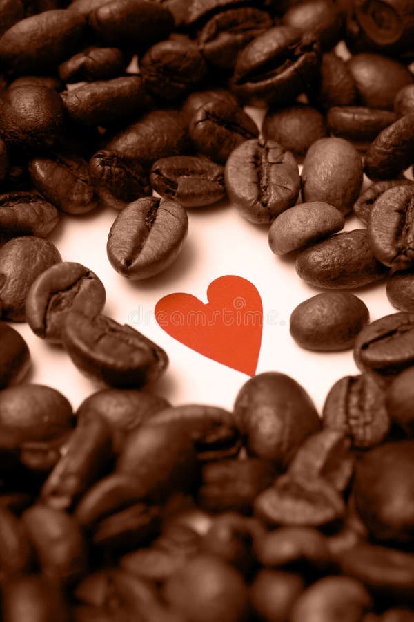 Quiero el café foto de archivo. Imagen de rutina, macro - 2077244