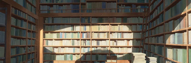 Quiet Anime Library with Rows of Bookshelves and Gentle Lighting Stock ...