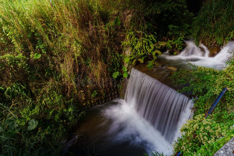 The Quiet and Beautiful Waterfall Hide Behind Bush Stock Image - Image ...