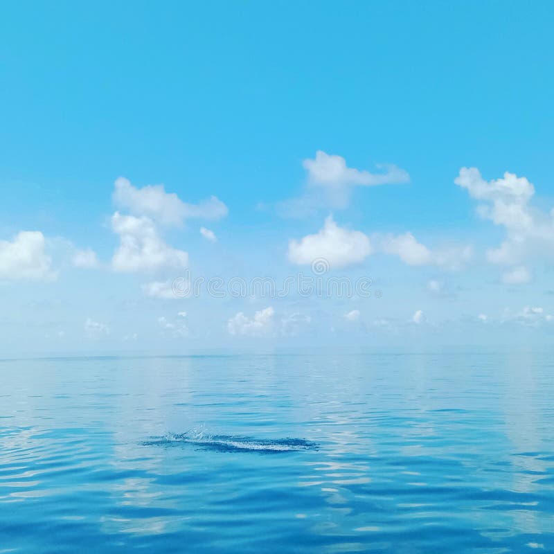 A quiet blue sea stock photo. Image of wave, shore, azure - 263656038