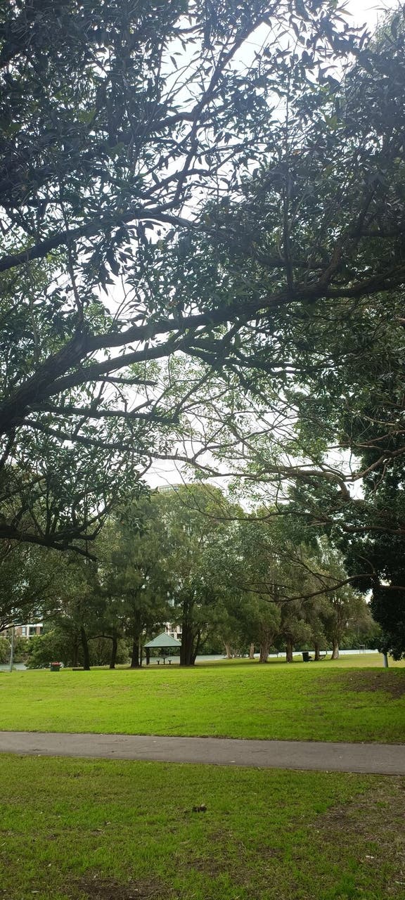 A Quiet Calming Park stock photo. Image of scenery, flower - 251856084