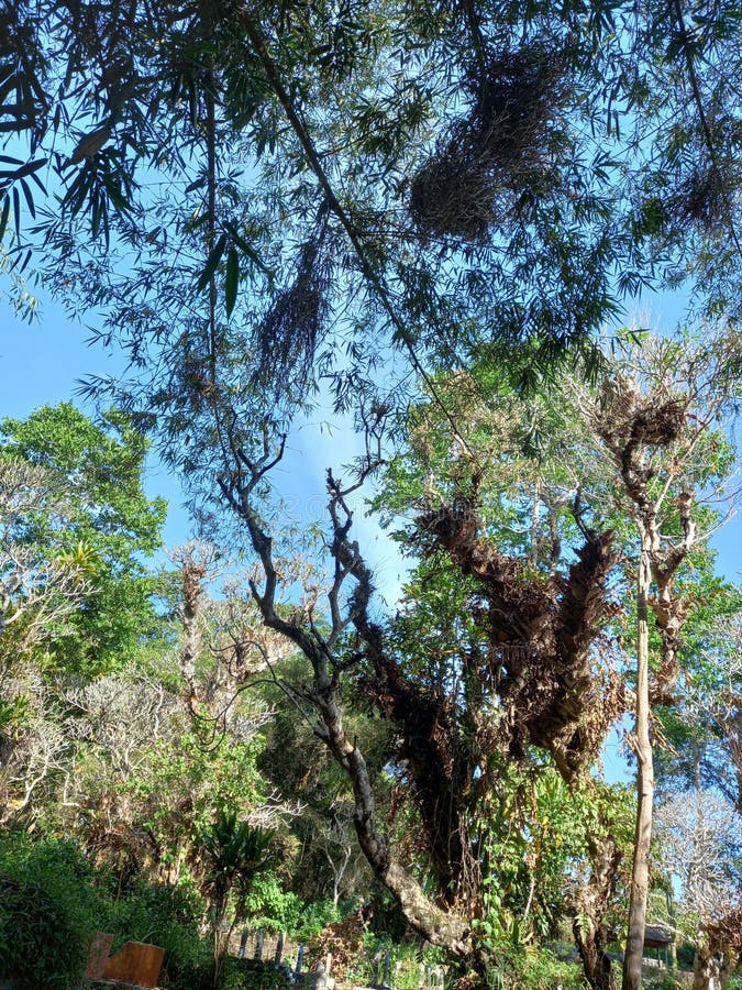 A Quiet and Cool Place Which is the Final Resting Place Stock Photo ...
